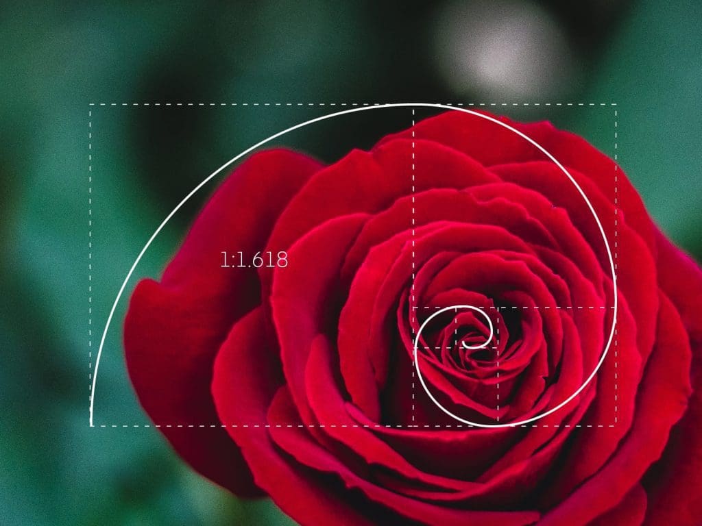 Measuring Beauty in Aesthetic Treatments - Infinity Aesthetics